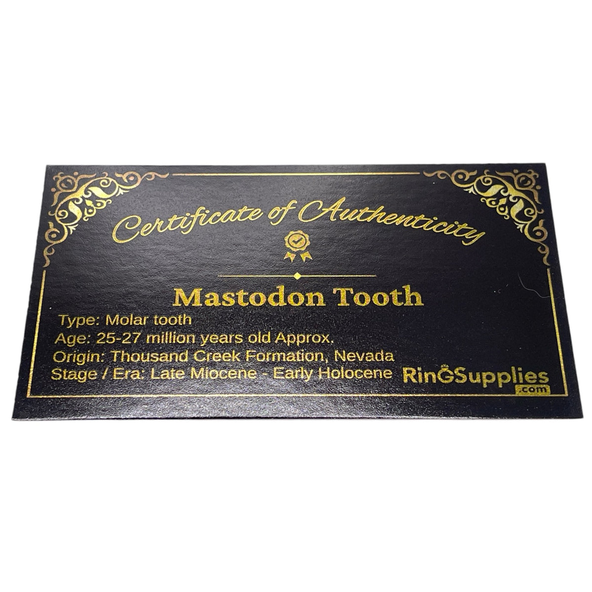 Crushed Mastodon tooth – Ringsupplies.com